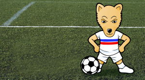 About – AZKALS